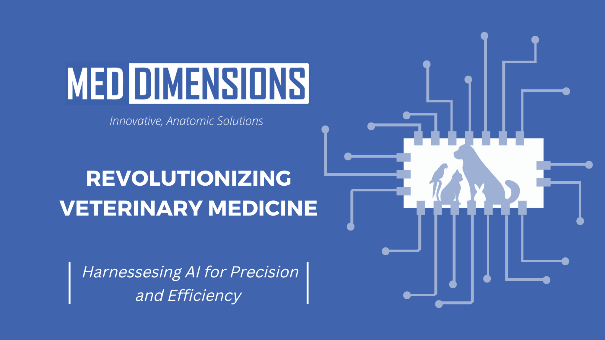 Revolutionizing Veterinary Medicine: Harnessing AI For Precision and ...