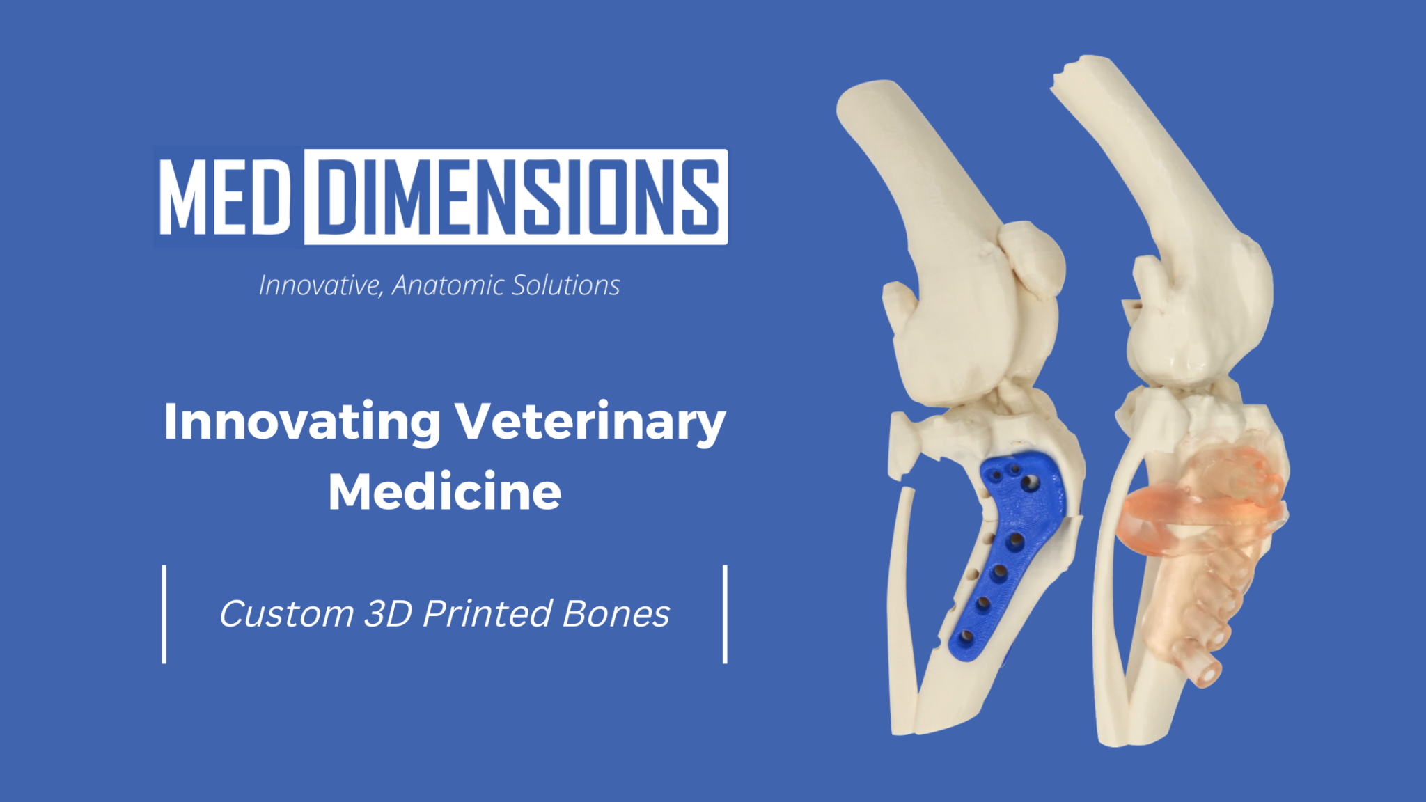 Innovating Veterinary Medicine: Custom 3D Printed Bones – Med Dimensions