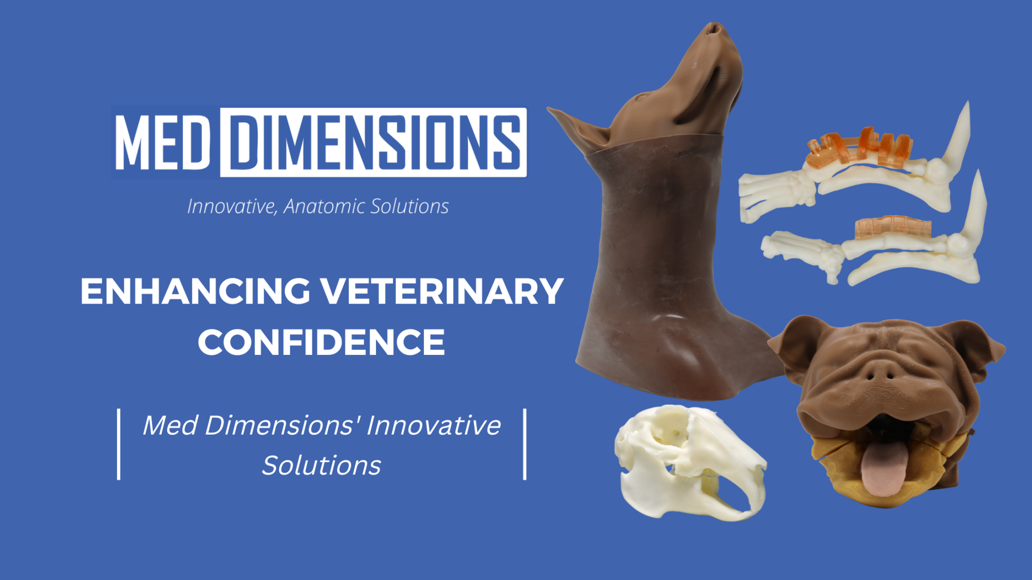 Enhancing Veterinary Confidence: Med Dimensions’ Innovative Solutions ... Enhancing Veterinary Confidence: Med Dimensions’ Innovative Solutions ...