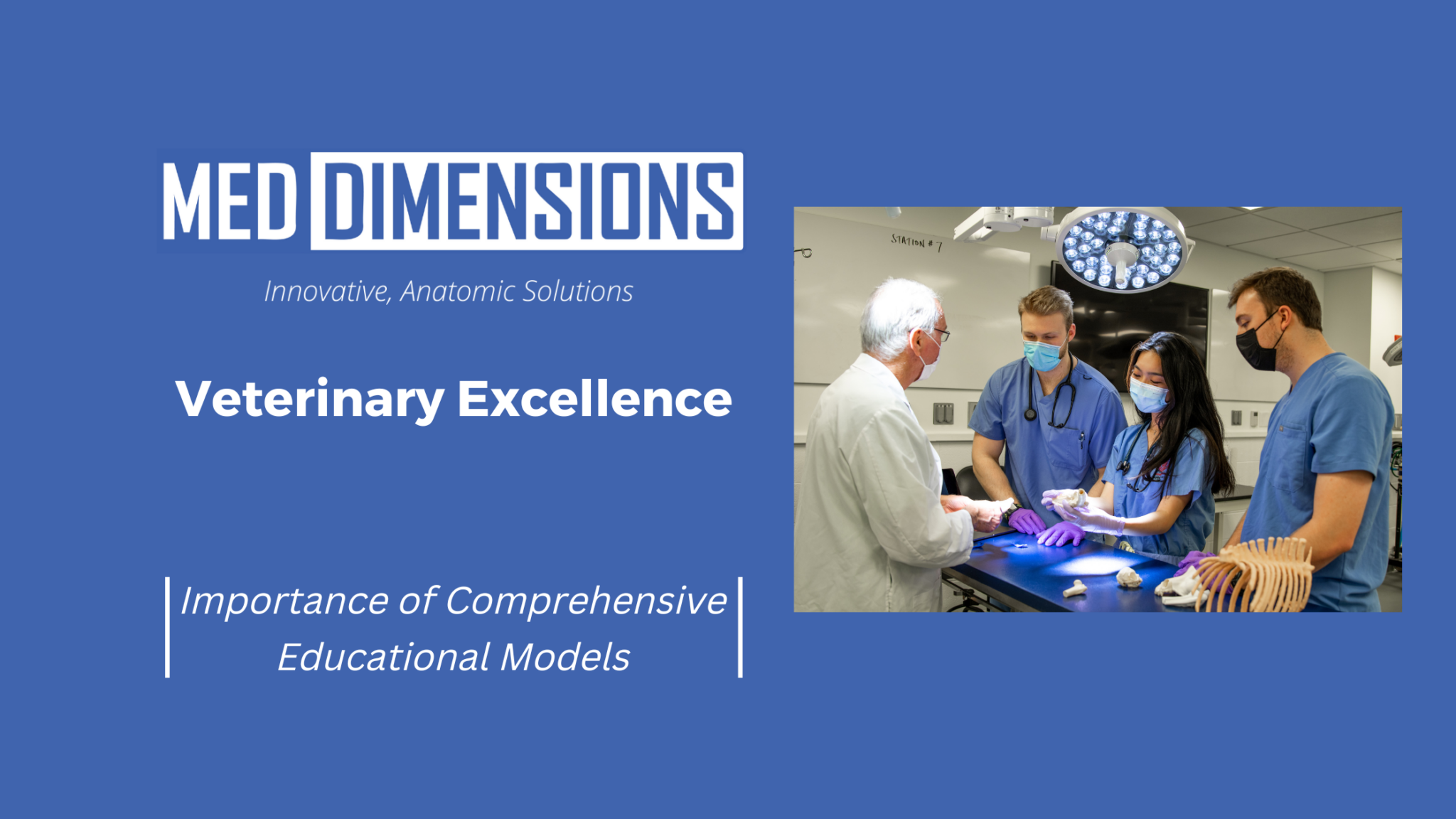 Veterinary Excellence: Importance of Comprehensive Educational Models ...
