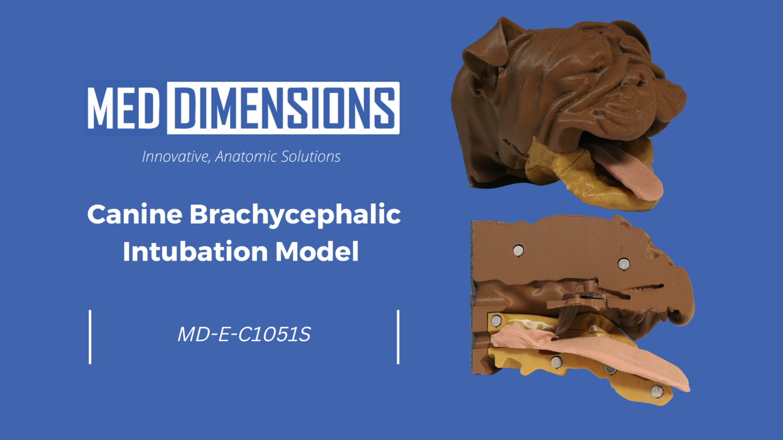 Canine Brachycephalic Intubation Trainers – Med Dimensions