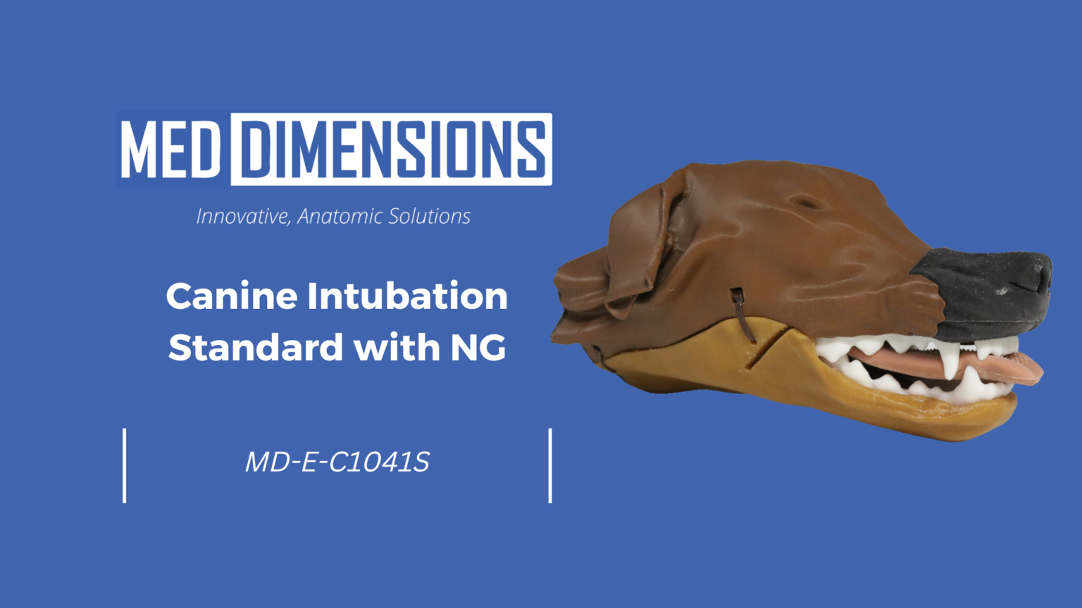 Canine Intubation Trainers: Standard with NG – Med Dimensions